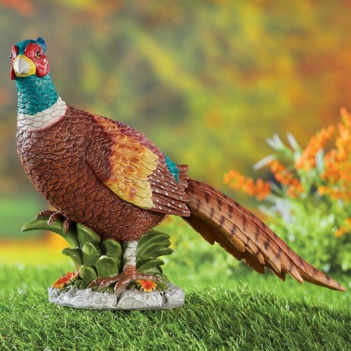 Photo Realistic Pheasant Chicken Garden Statue Resin Outdoor Lawn ...