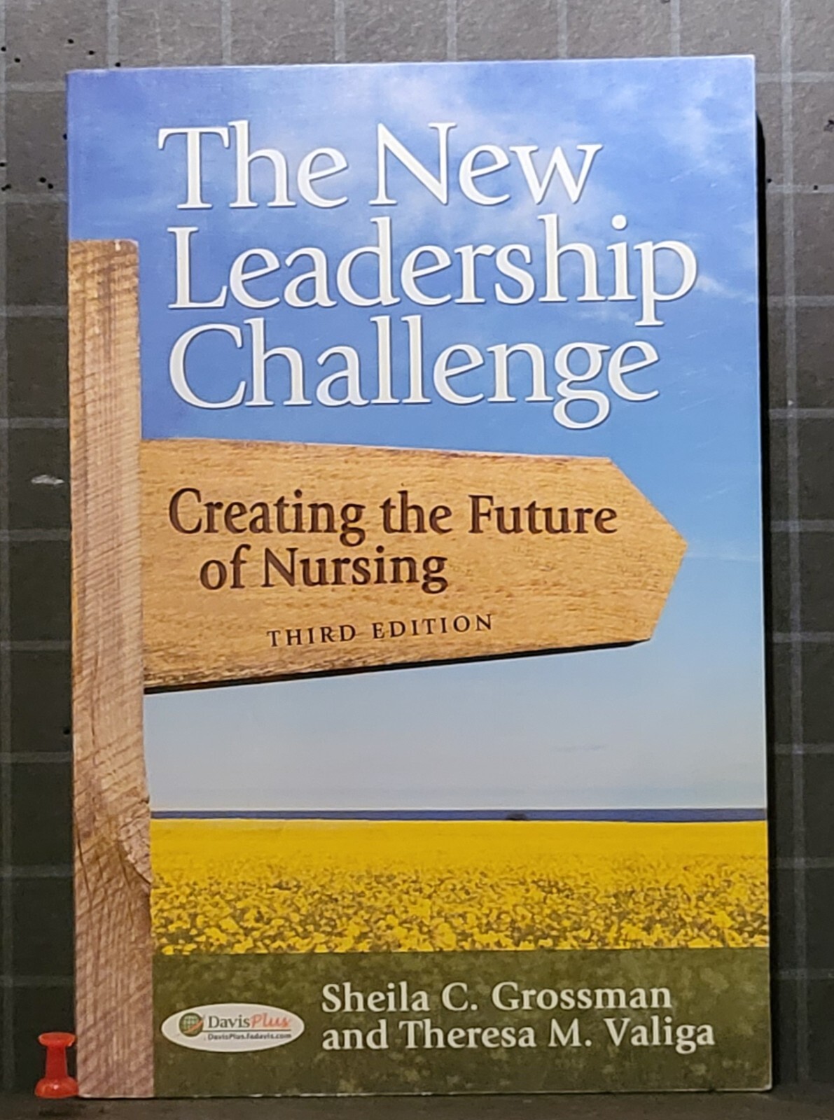 New Leadership Challenge : Creating the Future of Nursing by Theresa M ...