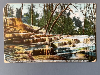 Angel Terrace Mammoth Hot Springs Yellowstone WY Litho Postcard ...