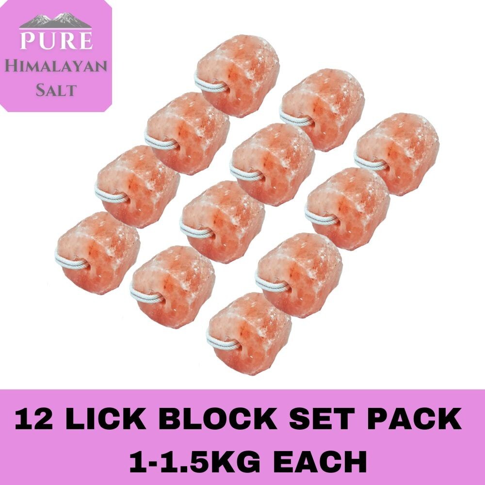 12X Himalayan salt lick Rock For Cattle Livestock Horse Blocks of 1-1.5 ...