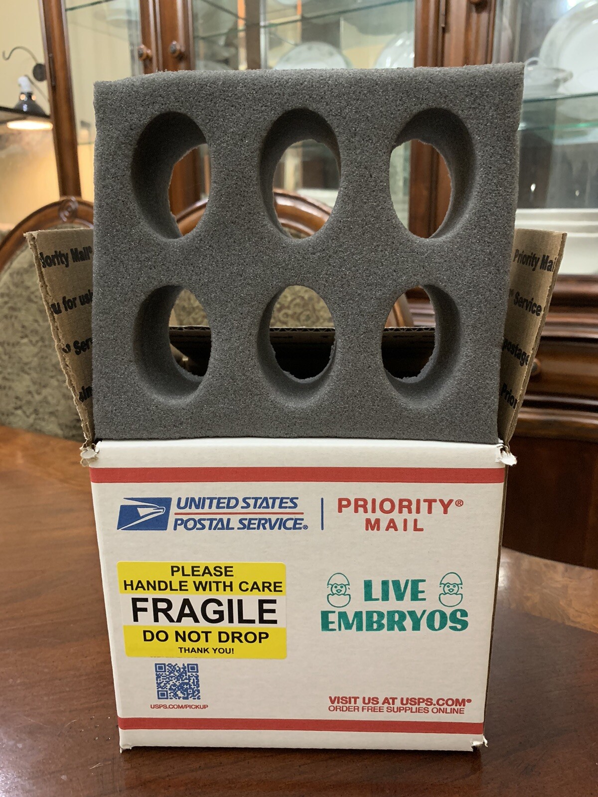 (6) Fibro Olive Egger Hatching Eggs - Eggs Received will be BLUE! | eBay