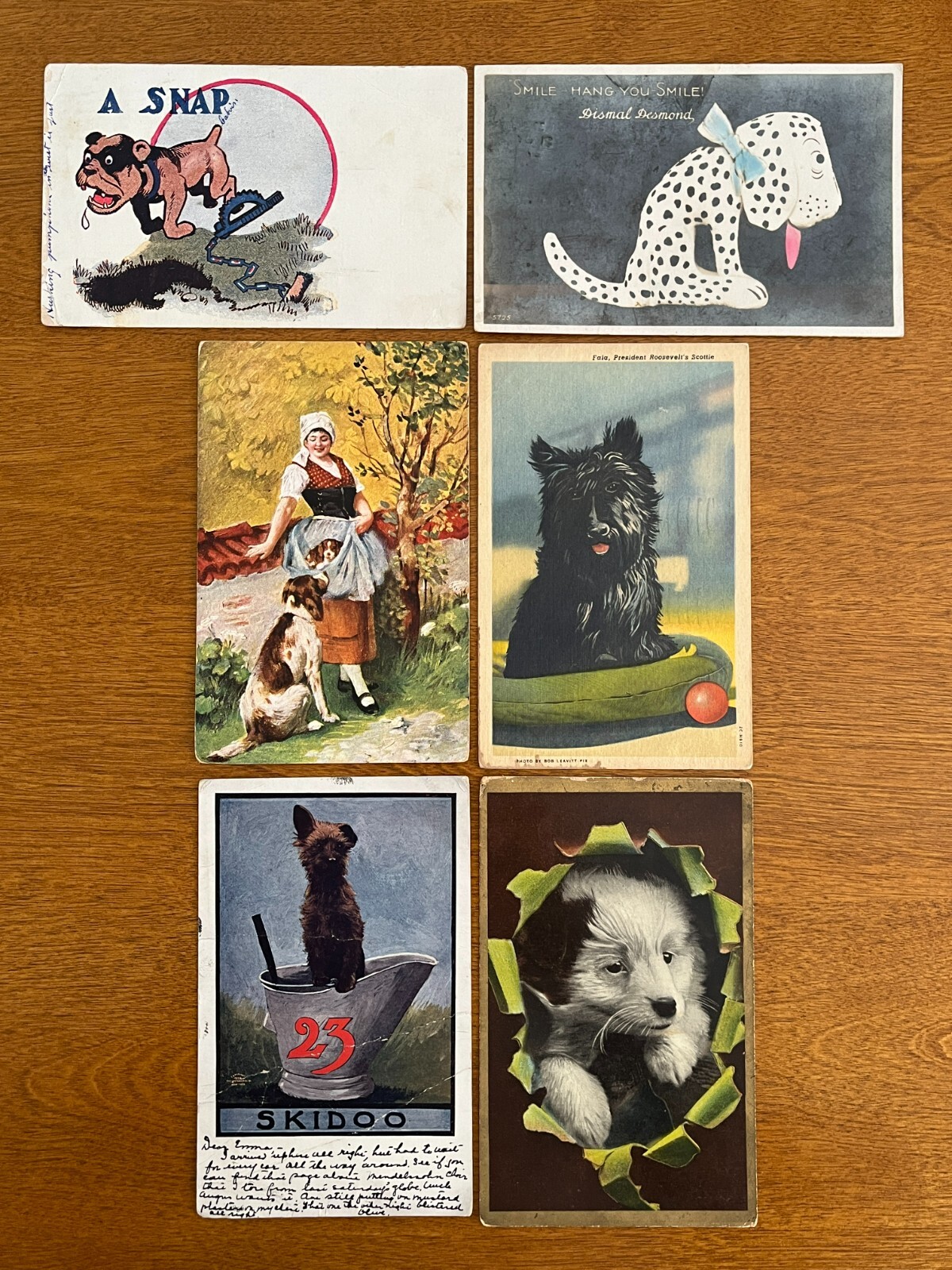 6) ANTIQUE & VINTAGE DOG POSTCARDS 5 - USED / 4- POSTED/ 1 NOT POSTED ...