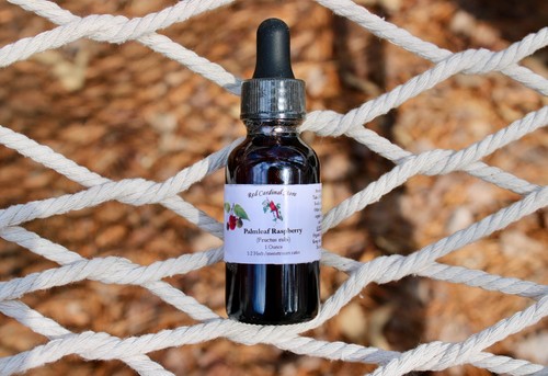 Palmleaf Raspberry Fruit (Fu Pen Zi) Tincture Herb Extract Double ...