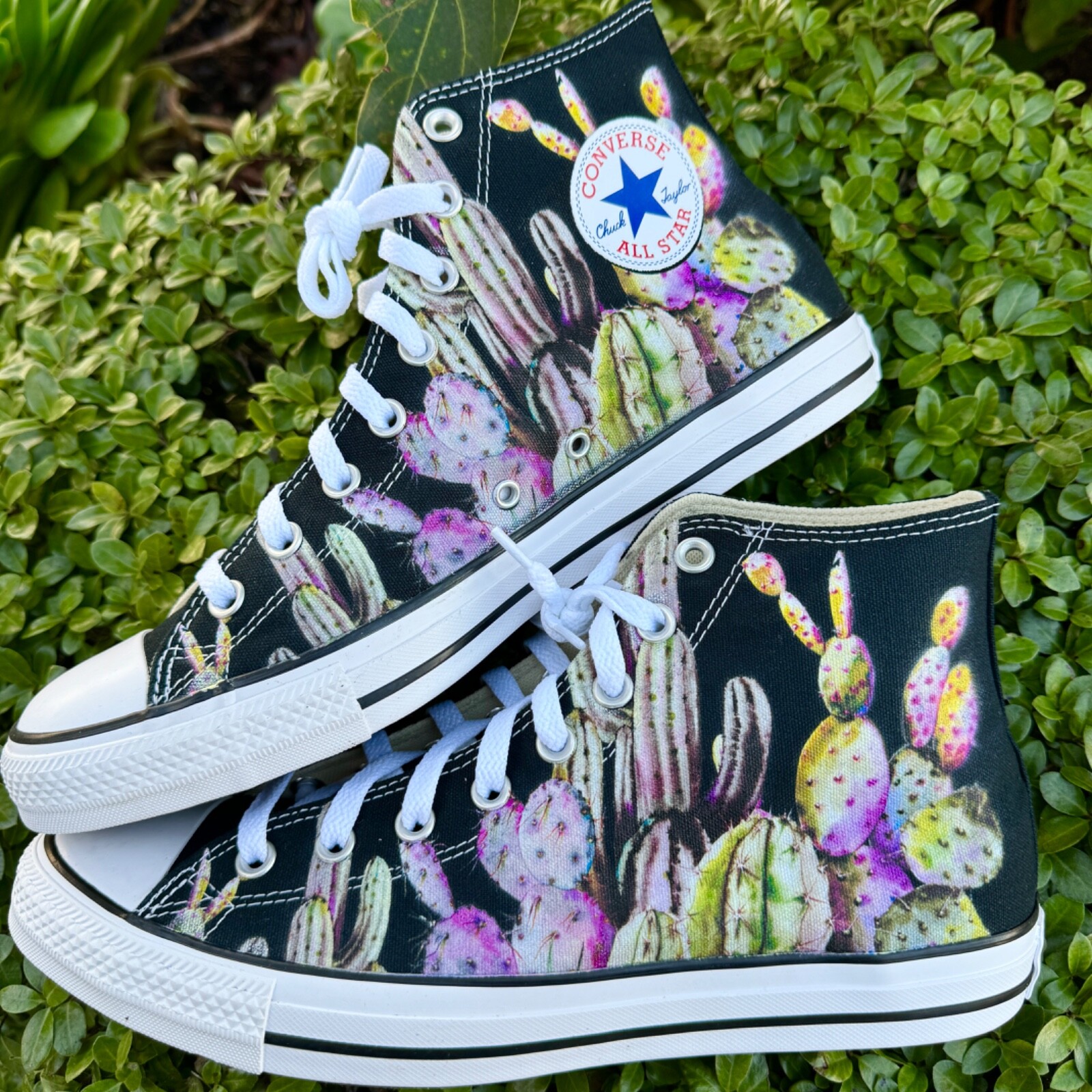 Customized Cactus and Succulents Converse Chuck Taylor Shoes for Men ...