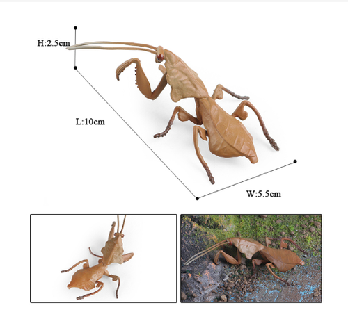 10cm Mini Brown Mantis Insect PVC Toy Animal Figure Doll Kids Gift | eBay