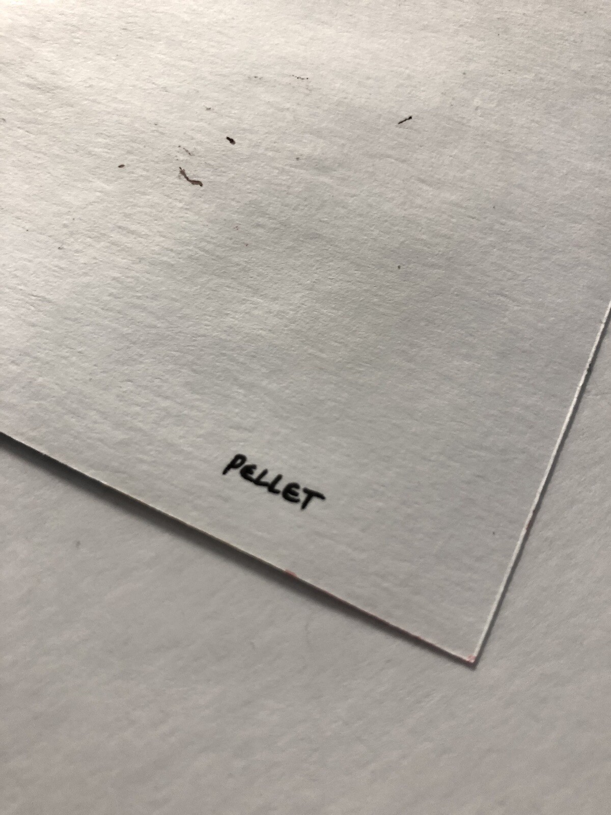 KYLE PELLET “Nacho Cheese & Pet Stains” Watercolor Painting ART ...