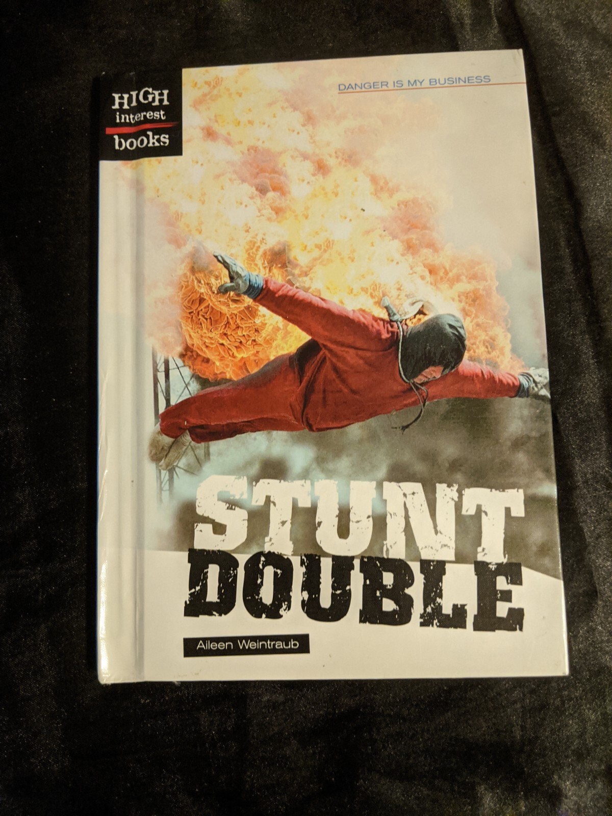 Stunt Double Books