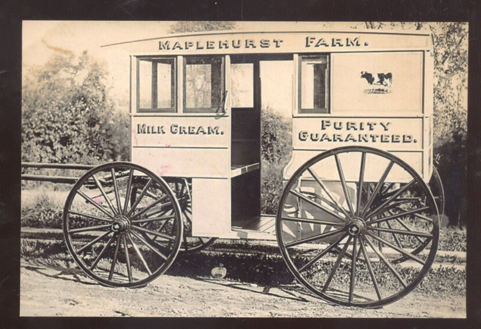 REAL PHOTO EARLVILLE NEW YORK MAPLEHURST FARM MILK WAGON POSTCARD COPY ...