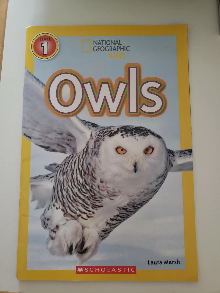 National Geographic Owls