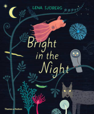Bright in the Night - Hardcover By Sjberg, Lena - VERY GOOD ...