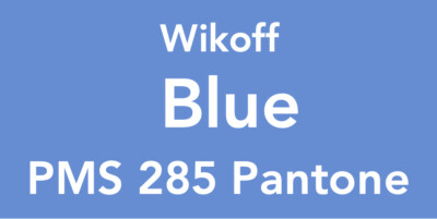 Wikoff Printing Ink PMS 285 Pantone Blue 9 oz. can | eBay