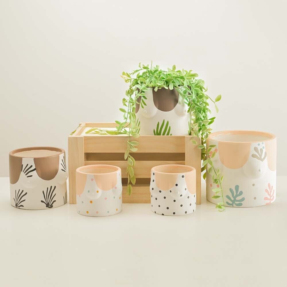 Small Decorative Cachepot Planter Cactus Creative Ceramic Succulent ...