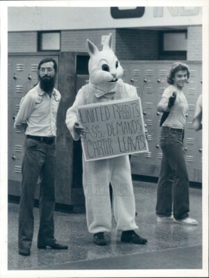 1979 Press Photo Funny Rabbit Protests President Jimmy Carter | eBay