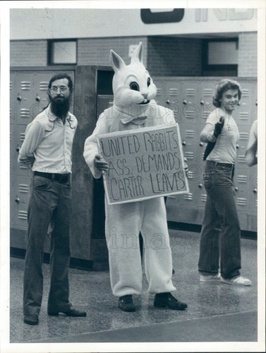 1979 Press Photo Funny Rabbit Protests President Jimmy Carter | eBay