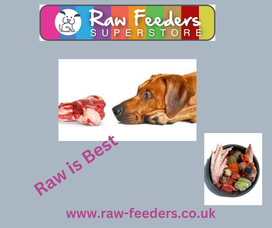 DURHAM ANIMAL FEEDS - DAF 454g RAW FROZEN DOG FOOD BULKBUY PREMIUM ...