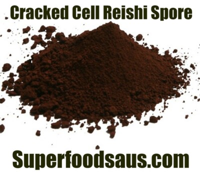 Reishi Mushroom Spore Powder 100g Organic Cracked Cell Wall Semi-Wild ...