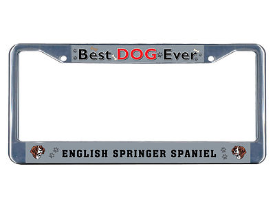 English Springer Spaniel Dog Best Dog Ever Metal License Plate Frame ...