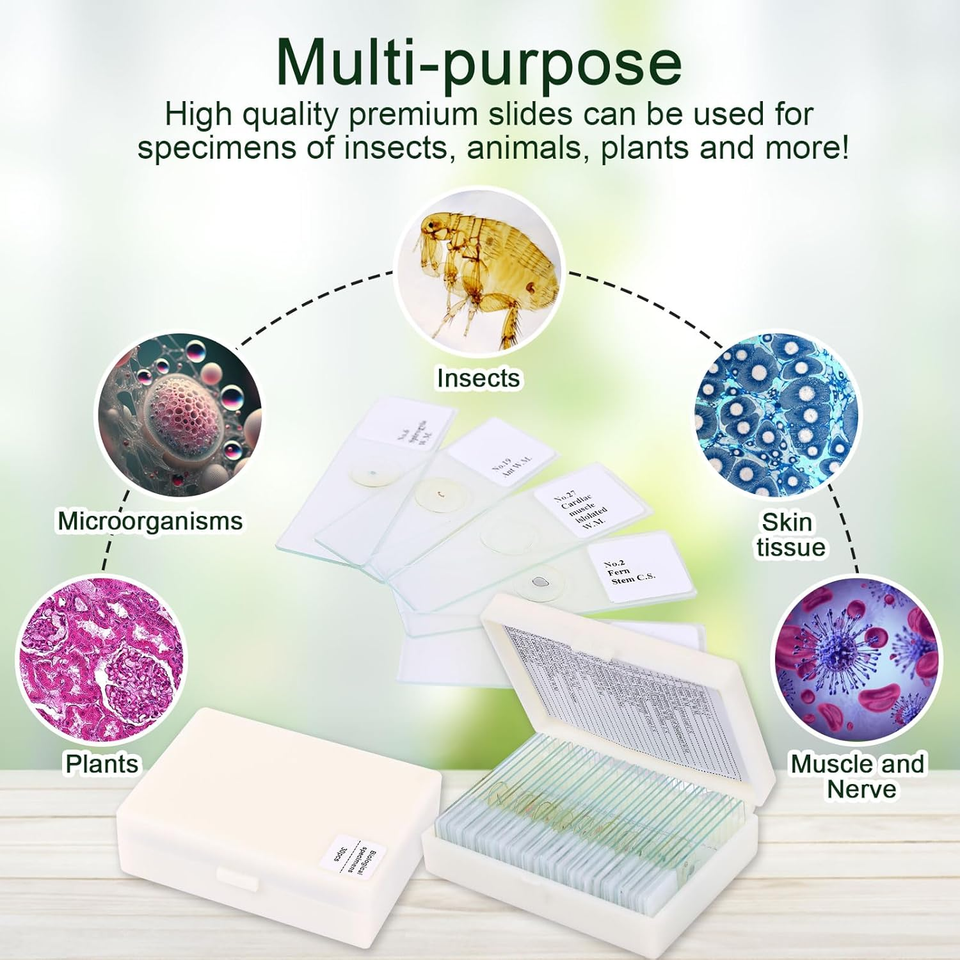 120 Microscope Slides with Specimens, Plant, Insect, Animal, Algae ...