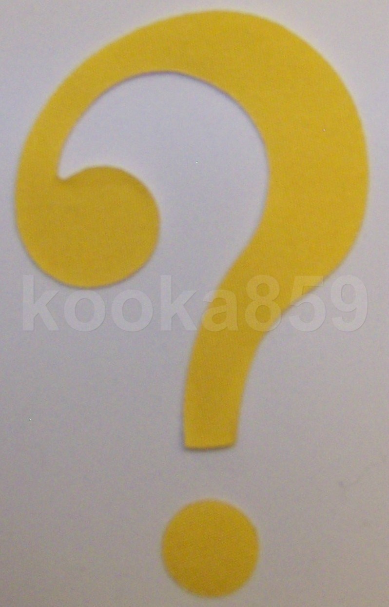 RIDDLER Costume QUESTION MARK SYMBOL Multi Size patches Batman Joker ...