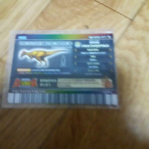 Dinosaur King Pachycephalosaurus Card