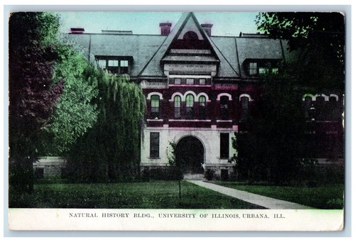 Urbana Illinois IL Postcard Natural History Building University ...