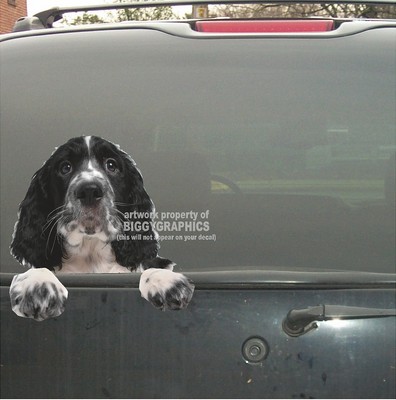 ENGLISH SPRINGER SPANIEL BLACK DOG VINYL PEEKER DECAL STICKER FOR CAR ...