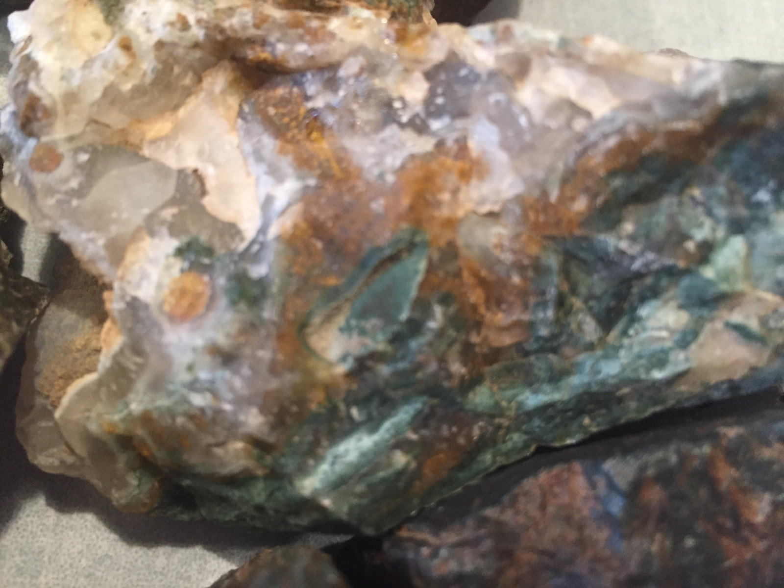 Green Petrified Wood Hampton Butte Oregon | eBay