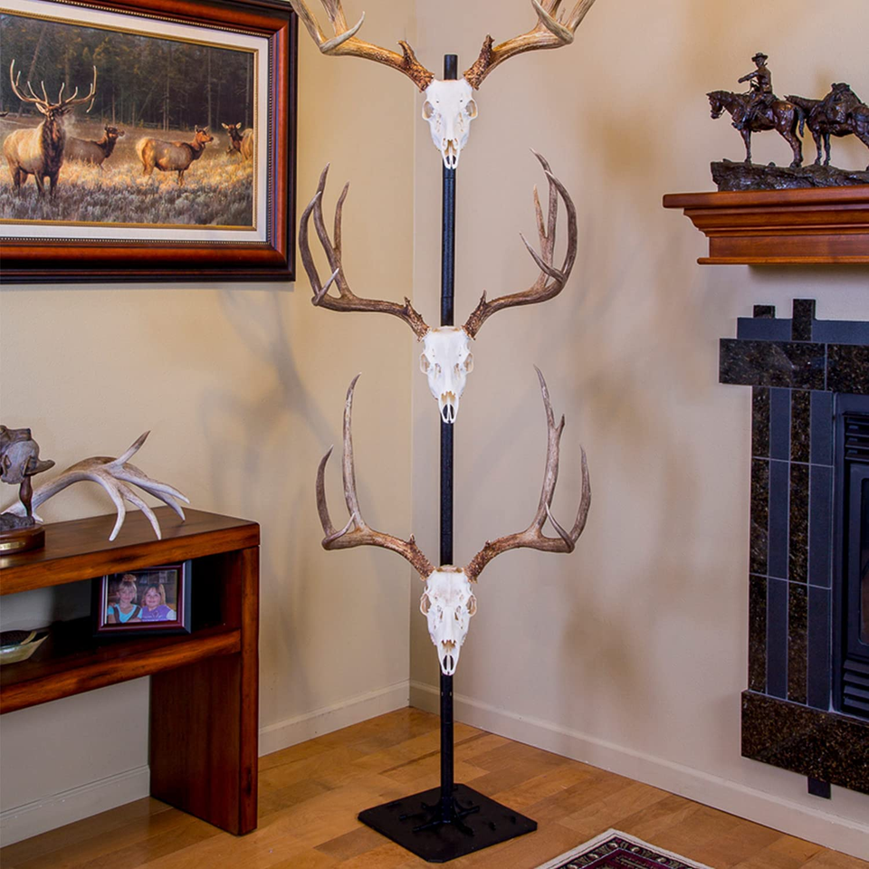Graphite Black Trophy Tree European Trophy Mount, Sturdy and Sleek ...
