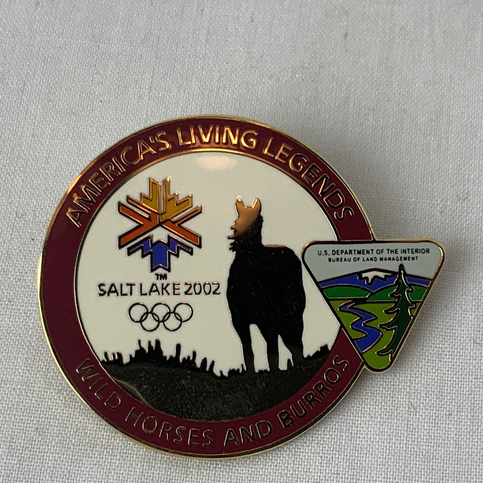 2002 Salt Lake City Olympic Pin “Wild Horses And Burros” Dept. of ...