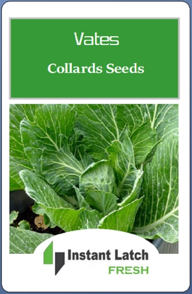 Vates Collards Seeds | NON-GMO | Heirloom | Fresh Garden Seeds | eBay