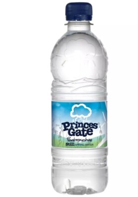 Princes Gate Still Natural Mineral Water Bottles - 24 x 500ml Bottles ...