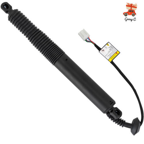 Left Side Power Lift Support Strut For 2021-2023 Tesla Model 3 1551488 ...