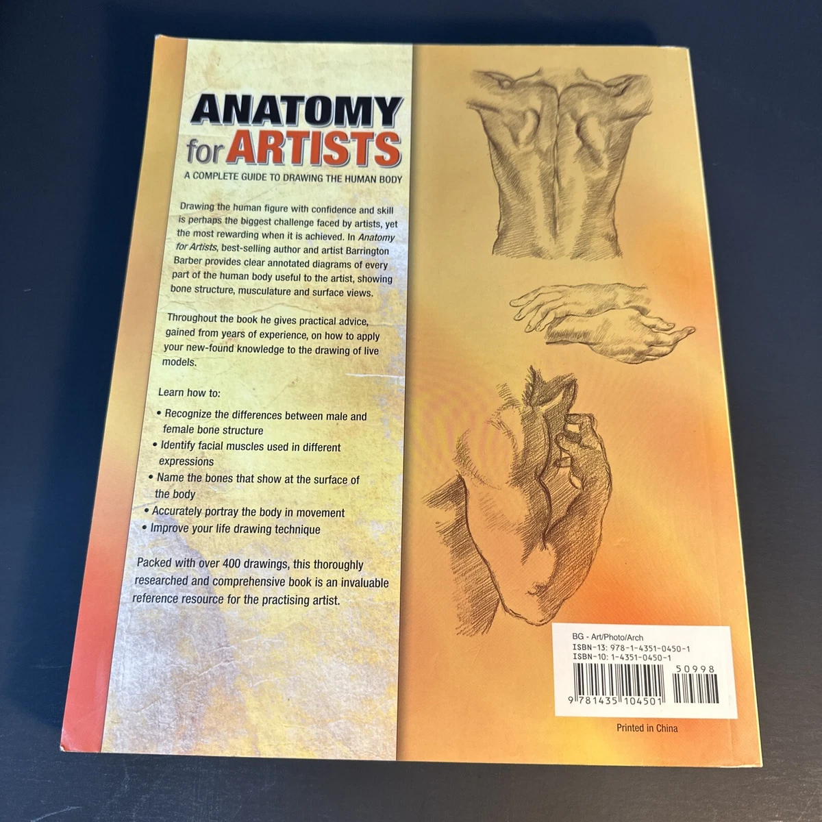 Female Body Anatomy For Artist