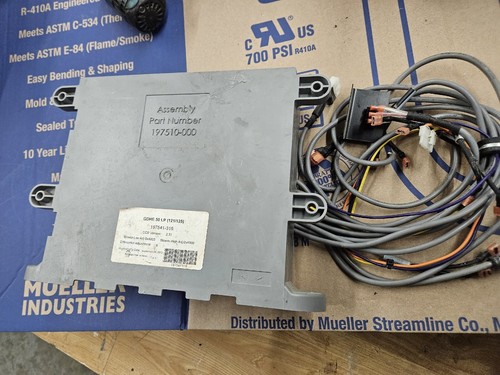 AO SMITH LP GAS WATER HEATER CONTROLLER 197541-316 197510-000 | eBay