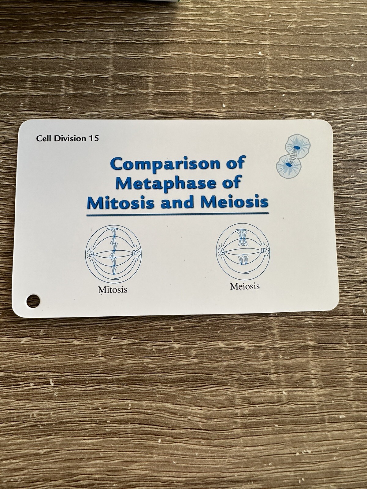 AP Biology 3rd Edition 450 Flash Cards test prep Barrons | eBay