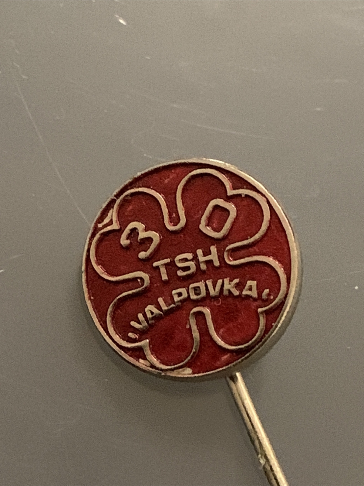 Pins - TSH Valpovka - Croazia | eBay