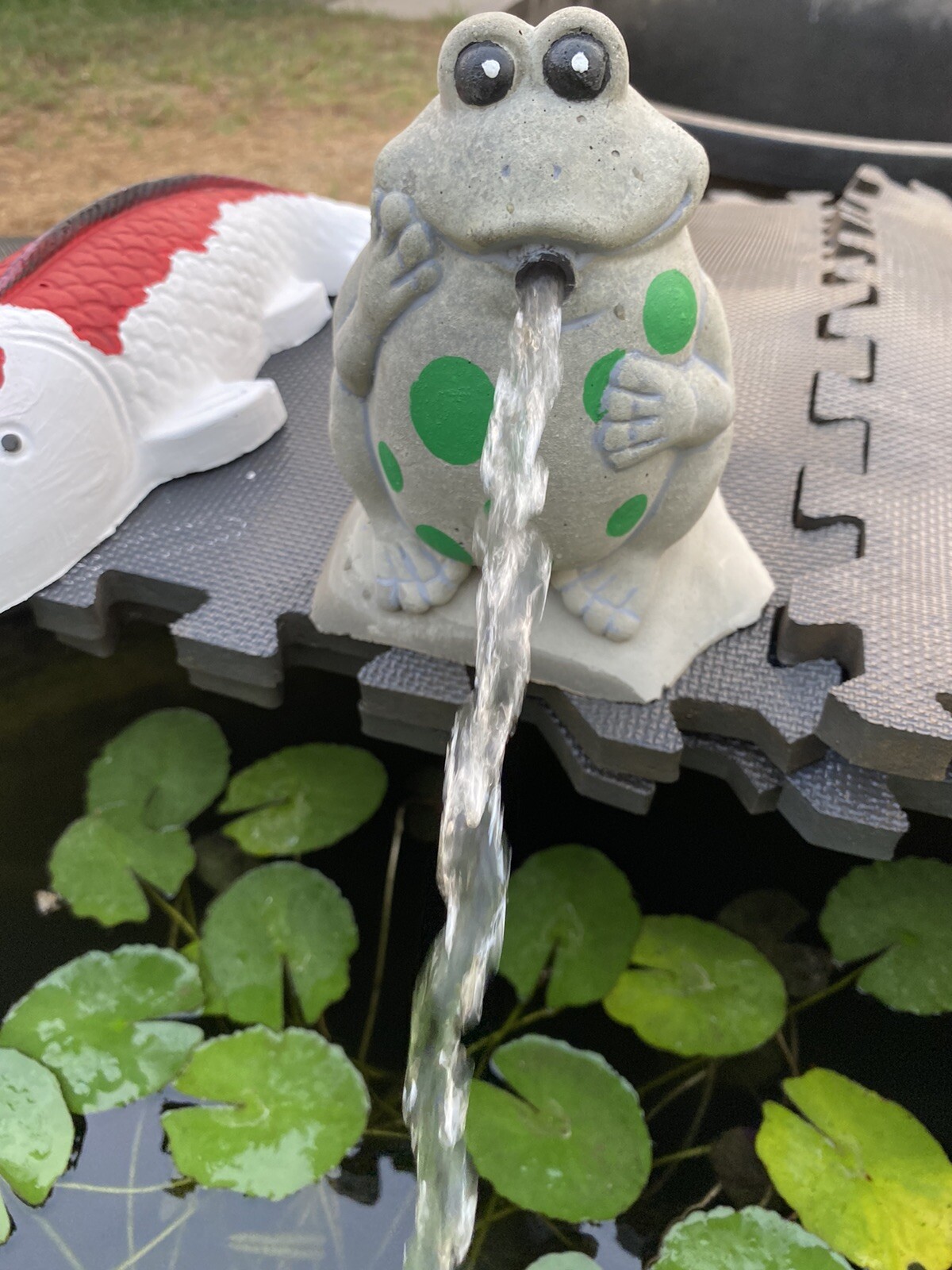 6” High Concrete Frog Pond Spitter Garden pond Statue ( Fits 1/2" hose ...