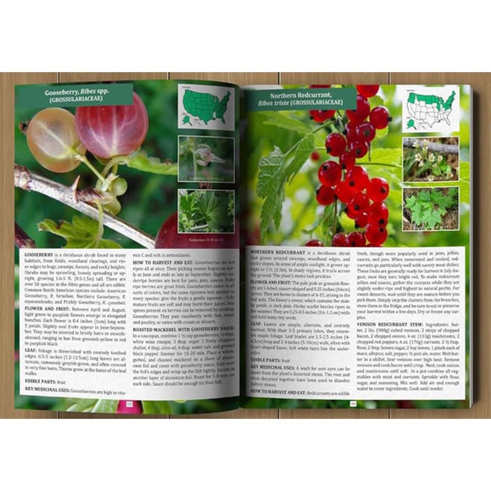 Herbal The Lost Book of Remedies I&II- by Claude Davis & Nicole Apelian ...