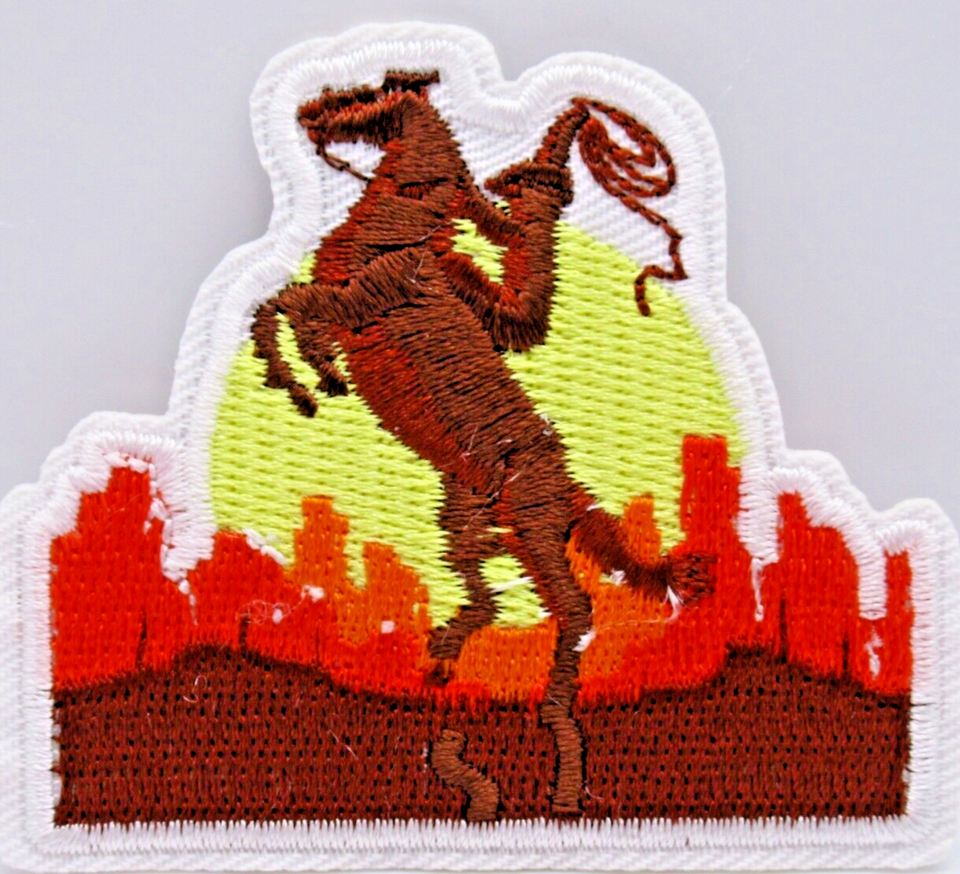 Cowboy Patch Horse & Lasso Western Desert Scene Embroidered Iron-On | eBay