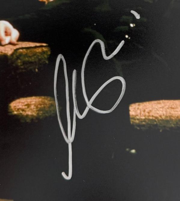 Photo 8x10 Autograph Al Pacino Signed Photo 8x10 COA | eBay