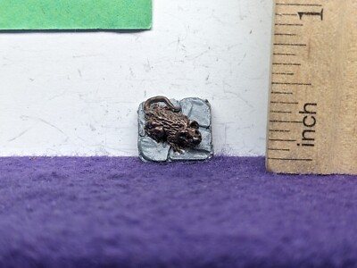 Heritage 1267a (v1) Giant Rat Miniature Metal Fantasy | eBay