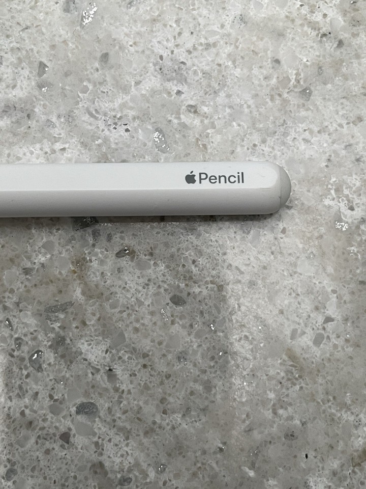 Apple Pencil 2nd Generation Stylus Pen White - VGC | eBay UK