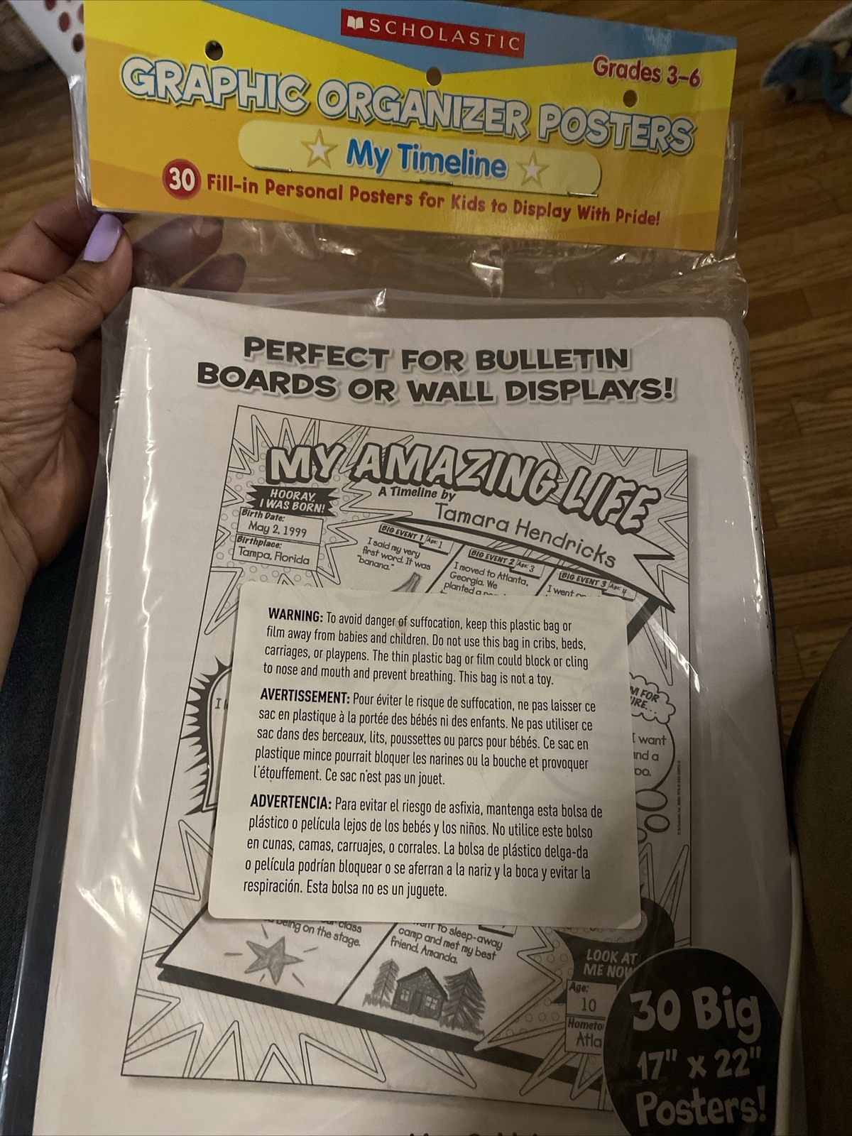 NIB Scholastic GRAPHIC ORGANIZER POSTERS:My Timeline: GRADES 3-6 Lot Of ...