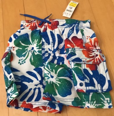 Children's Place BOYS Lot Of Three Bathing Suits Size 18 And 12 Months ...