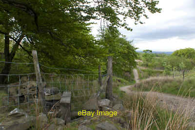 Photo 12x8 A stile into Holden's Plantation and the bridleway passing ...