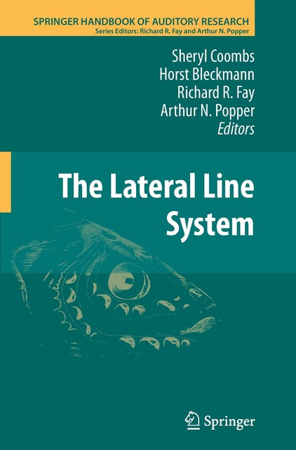 The Lateral Line System von Richard R. Fay Arthur N. Popper Horst ...