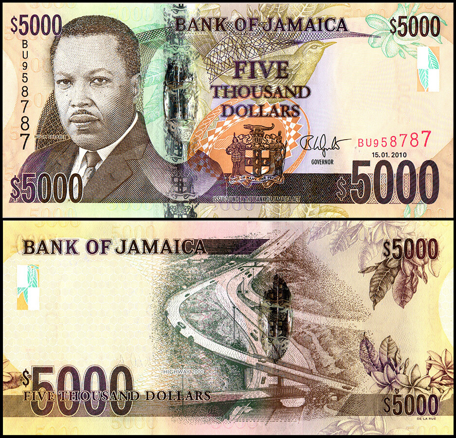 5000 Dollar Bill Back