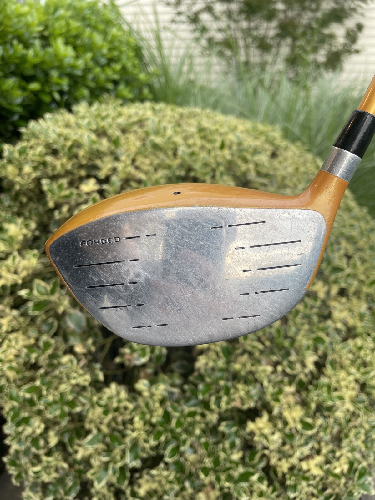 Intech Men’s Golf Driver Hornet 500 - Reg. Flex 65 Gram Shaft - Golf ...