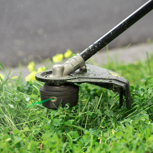 RYOBI 36V 330mm Straight Shaft Line Trimmer Tool Only Whipper Snipper ...