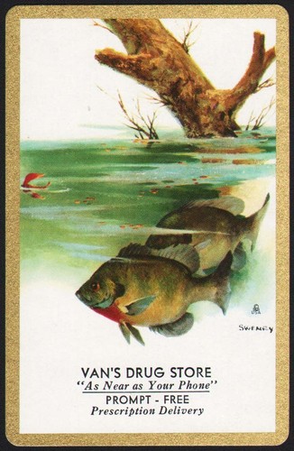 Vintage playing card VANS DRUG STORE fish picture Elgin Illinois Fred ...